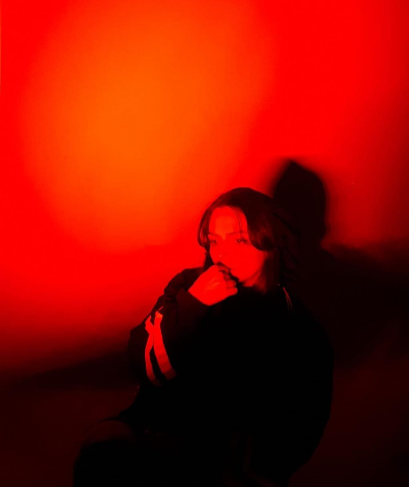 carincur - Galeria Zé dos Bois