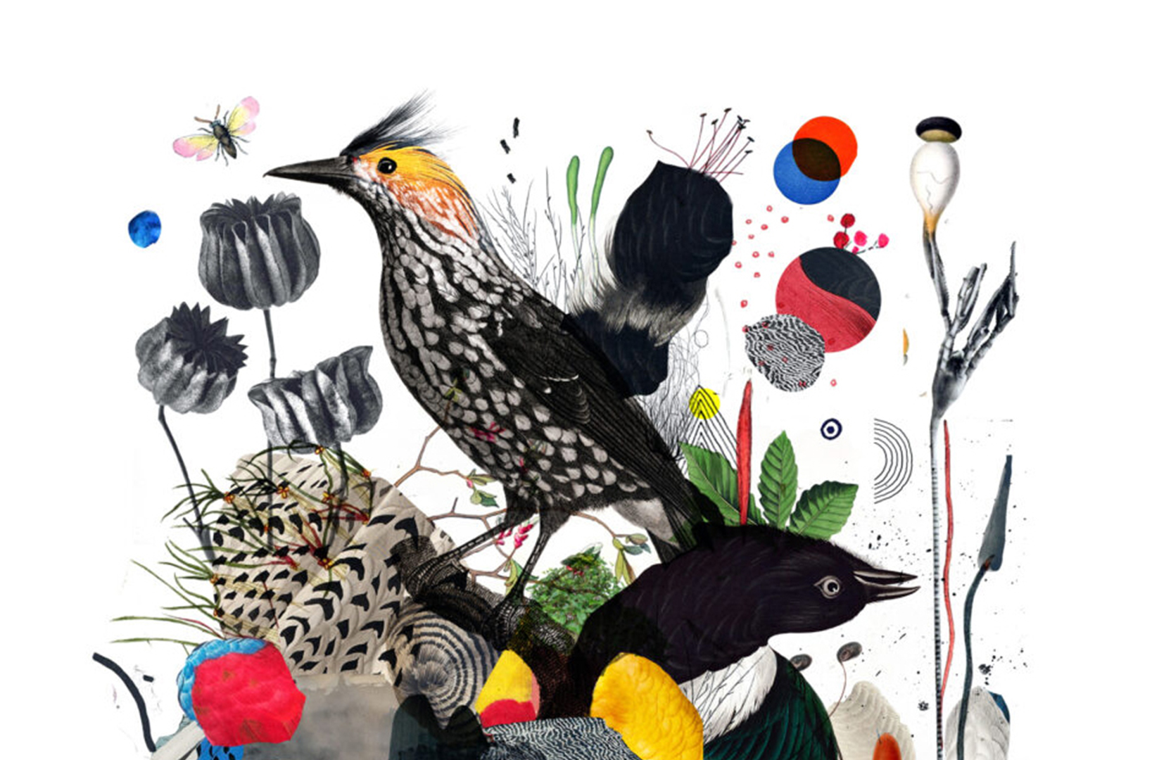 Festival Rescaldo - Galeria Zé dos Bois