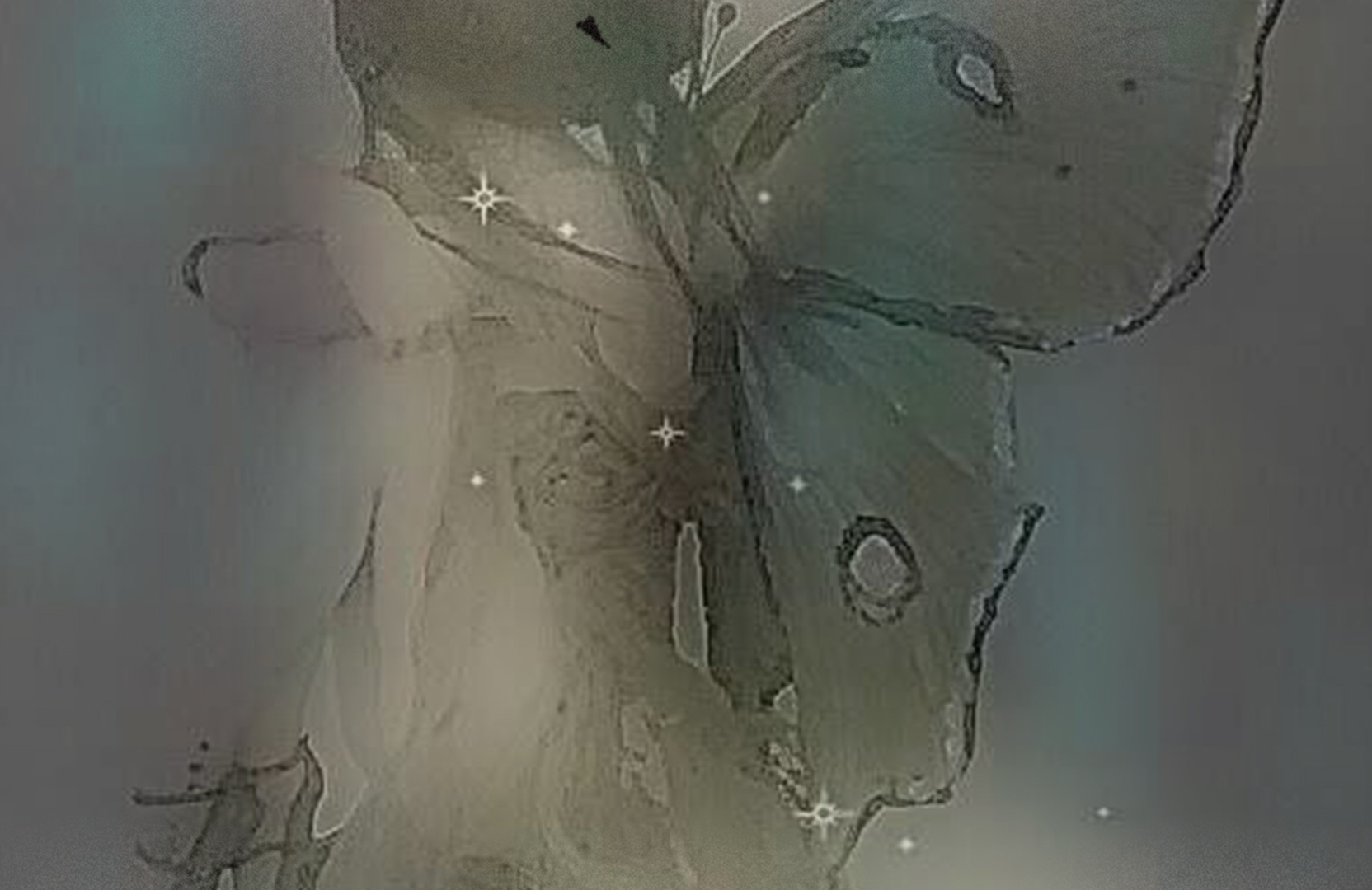 Soul Feeder - Galeria Zé dos Bois