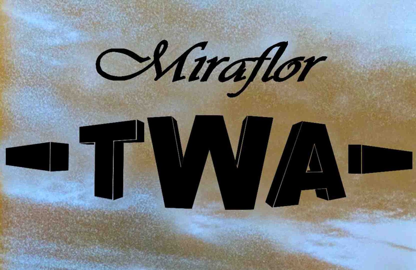 20 anos de TWA - Galeria Zé dos Bois