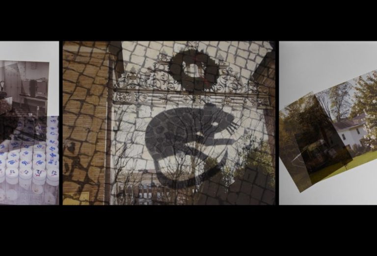 Galeria Zé dos Bois